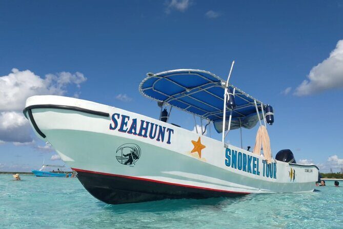 Private Sky Snorkeling Tour - The Sum Up: Who Is This Tour Best For?