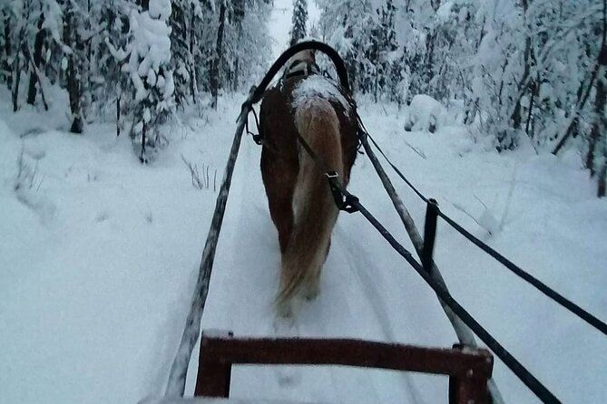 Private Sleigh Ride with Finnhorse - Key Points