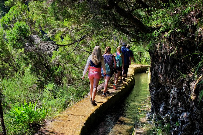 Private Small Group Full Day 4x4 Tour in Northwest Madeira - Tour Details