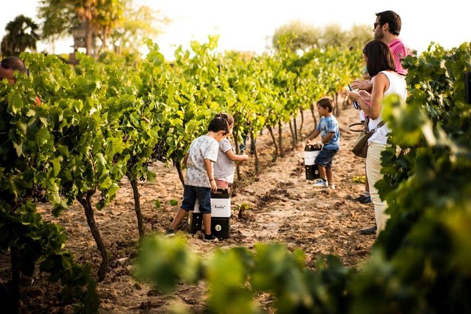 Private Small Group Full Day Tour- Montserrat and Cava Visit with Lunch and Transportation - The Bottom Line