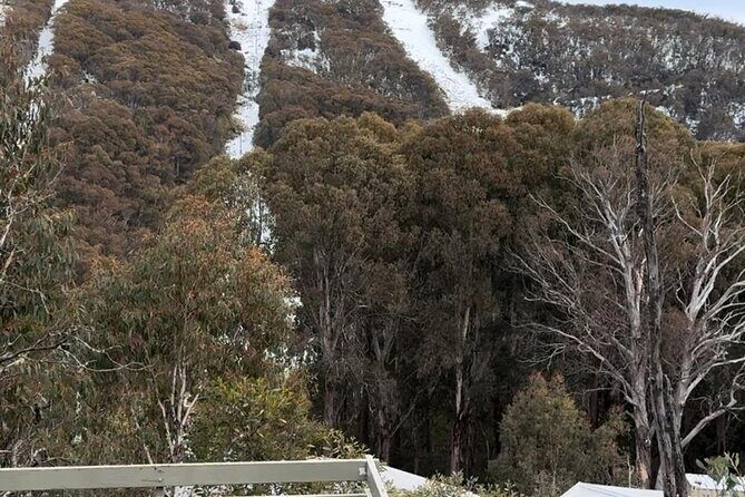 Private Small Group Snow and Ski Tour to Mt Buller - Who Will Love This Tour?