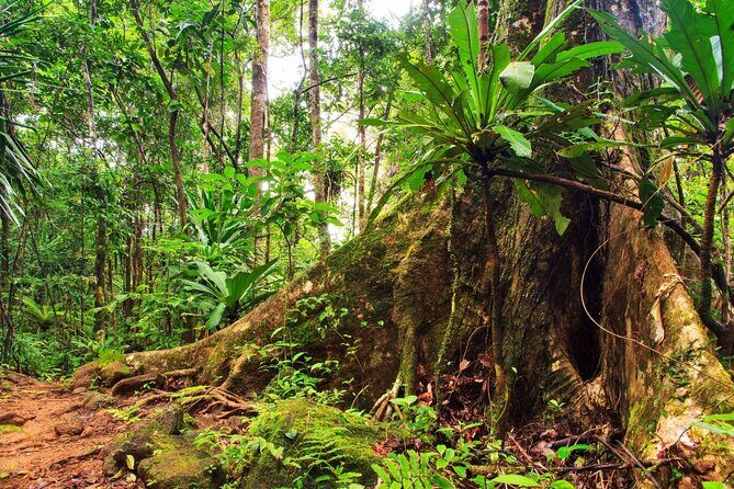 Private Small Group Tour in Blue Mountains - Final Thoughts: Is This Tour Right for You?