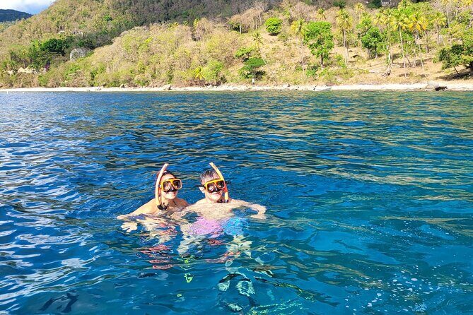 Private Snorkel along the West Coast - What Travelers Are Saying (From Available Reviews)