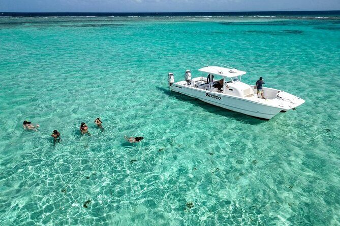 Private Snorkel and Cruise Experience in Ceiba - A Closer Look at the Itinerary and Experience