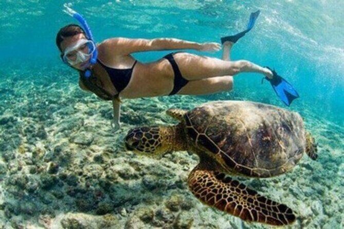 Private Snorkel and Dive Charter to Culebra (Up to 5 Guests) - FAQs
