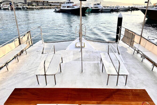 Private Snorkel Cruise in Cabo San Lucas - Frequently Asked Questions