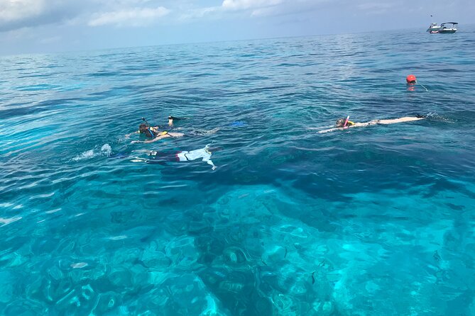 Private Snorkel to Key Largo Reef for up to 12 - INCLUDES GEAR! - Key Points