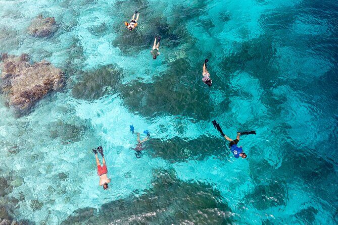 Private Snorkel Tour with Captain and Guide Bonaire Marine Park - What Makes This Tour Special?
