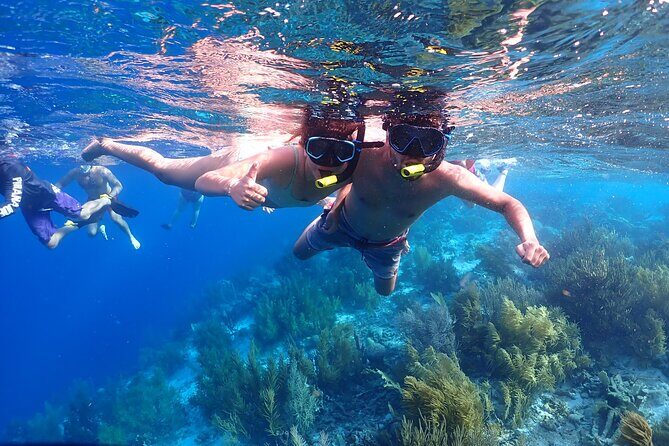 Private Snorkel Tour with Captain and Guide Bonaire Marine Park - FAQs