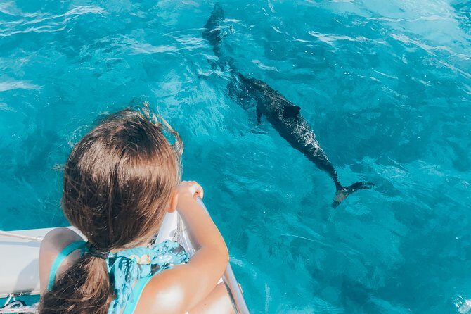 Private Snorkel Trip from Oahu on a Yacht - Final Thoughts