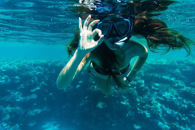 Private Snorkeling Activity in Key Largo - The Practical Details