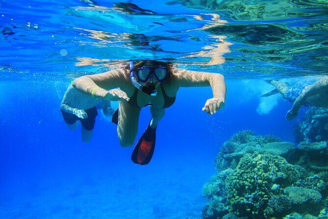 Private Snorkeling Activity in Key Largo - The Reef Stops: Why They Matter