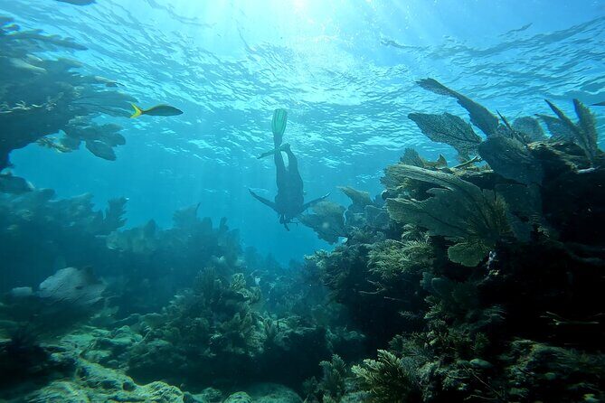 Private Snorkeling Activity in Key Largo - Who Should Book This Tour?