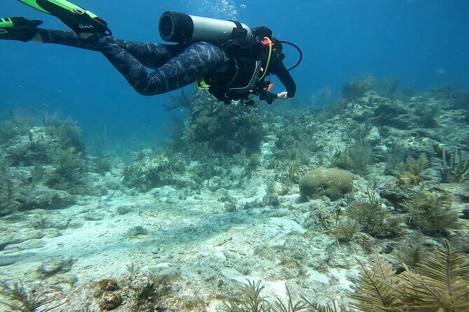 Private Snorkeling Activity in Key Largo - Final Thoughts