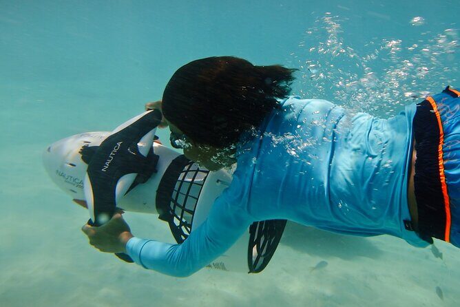 Private Snorkeling and Boat Riding Experience in Aruba - The Experience in Action: Why Travelers Love It