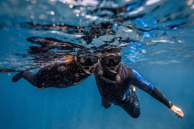 Private Snorkeling and Freediving Trip to Manta Point - The Itinerary: What To Expect on Your Private Balinese Marine Adventure