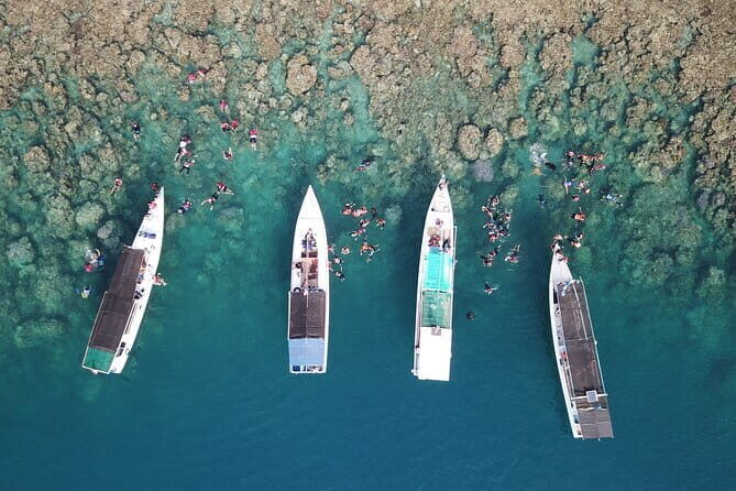 Private Snorkeling and Island Hopping Tour in Karimunjawa - Key Points