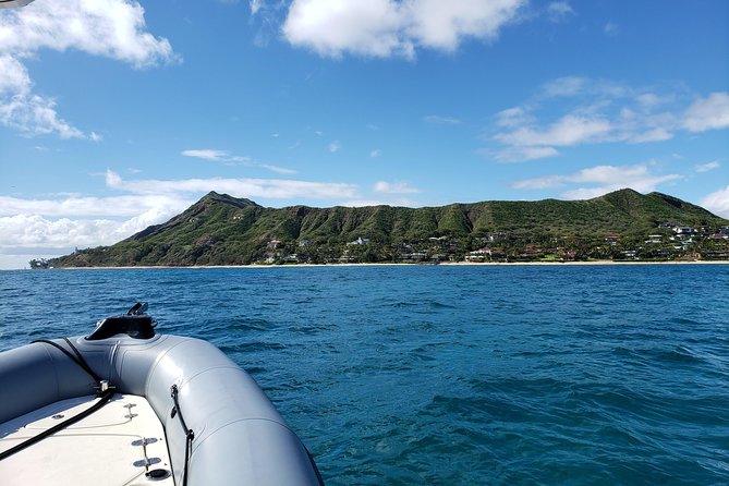 Private Snorkeling and Wildlife on The Adventure Boat - Personalized Service and Customer Care