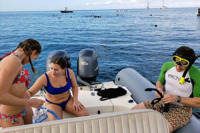 Private Snorkeling and Wildlife on The Adventure Boat - Customer Testimonials and Feedback