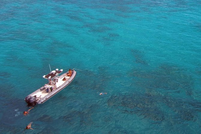 Private Snorkeling and Wildlife on The Adventure Boat - Booking and Cancellation Policy