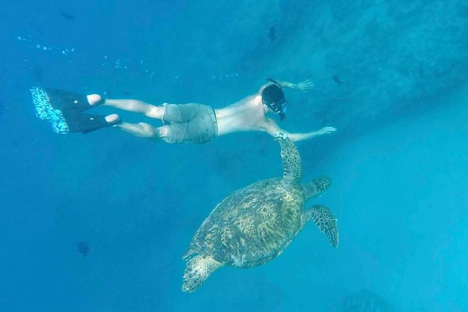Private Snorkeling and Wildlife on The Adventure Boat - Frequently Asked Questions