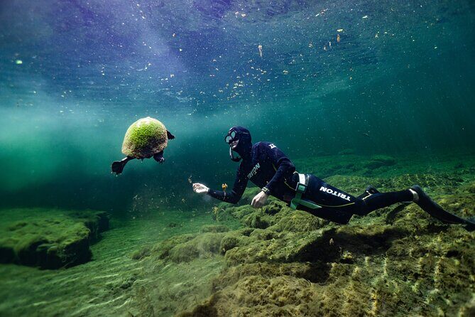 Private Snorkeling Expedition in the Florida Springs - Who Should Book This Tour?