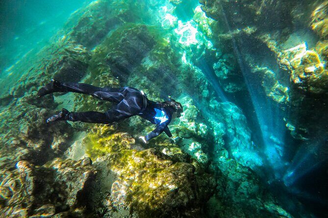 Private Snorkeling Expedition in the Florida Springs - Final Thoughts