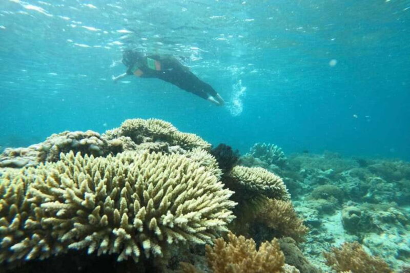 Private Snorkeling Gili Gede, GIli Asahan, Gili Goleng Tour - Gili Layar: Quiet Beaches and Stunning Reefs