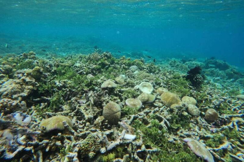 Private Snorkeling Gili Gede, GIli Asahan, Gili Goleng Tour - Gili Asahan: Savoring Stillness and Nature