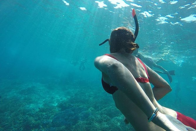 Private Snorkeling Gili Island (Coral, Statue and Turtle) - Final Thoughts