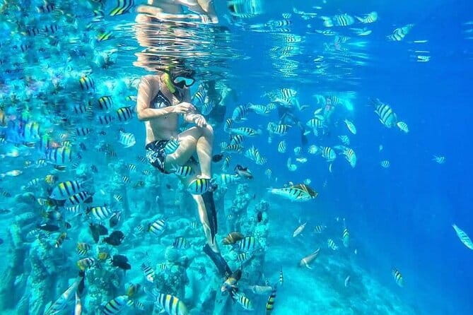 Private Snorkeling Gili Island Including GoPro Camera - Who Should Consider This Tour?
