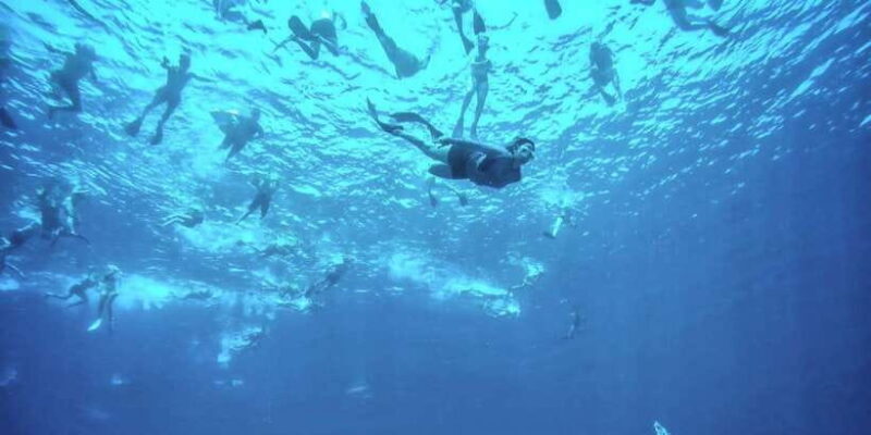 Private Snorkeling Gili Islands Full Day Tour - The Detailed Itinerary Breakdown