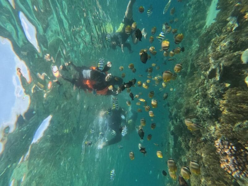 Private Snorkeling Gili Islands Full Day Tour - FAQ