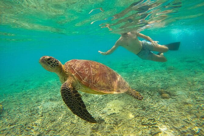 Private Snorkeling in 3 GiIi Islands - A Closer Look at the Itinerary