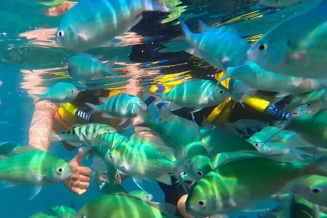 Private Snorkeling in 3 GiIi Islands - The Sum Up: Is This Tour Worth It?