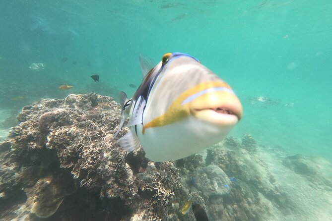 Private Snorkeling in Okinawa With Tropical Fish and Rock Pools - Inclusions and Equipment