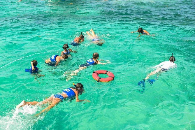 Private Snorkeling in Punta Cana - How the Tour Stacks Up