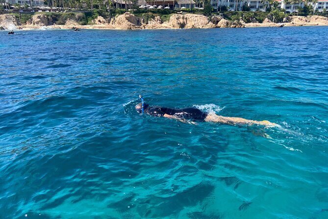 Private Snorkeling In San Jose Del Cabo Lunch, Drinks, Snack - Final Thoughts: Who Is This Tour Best For?