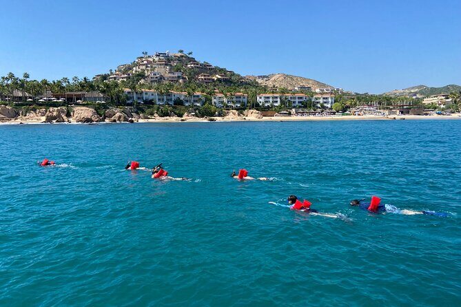 Private Snorkeling In San Jose Del Cabo Lunch, Drinks, Snack - Frequently Asked Questions