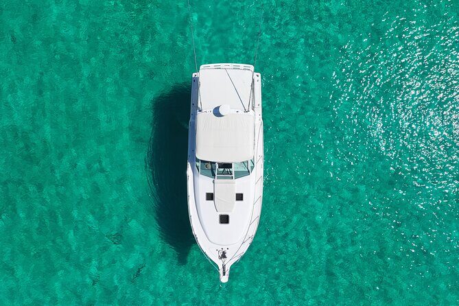 Private Snorkeling or Fishing Charter in Nassau - 38ft Free Time - The Sum Up