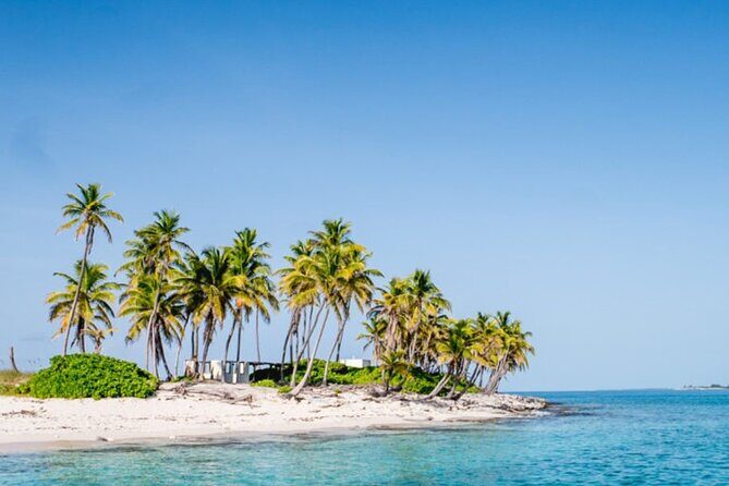 Private Snorkeling or Fishing from Nassau - 31ft Sitting Pretty - In-Depth Breakdown of the Itinerary