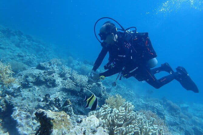 Private Snorkeling to Hidden Reefs By Speedboat with Seafood BBQ - Final Thoughts