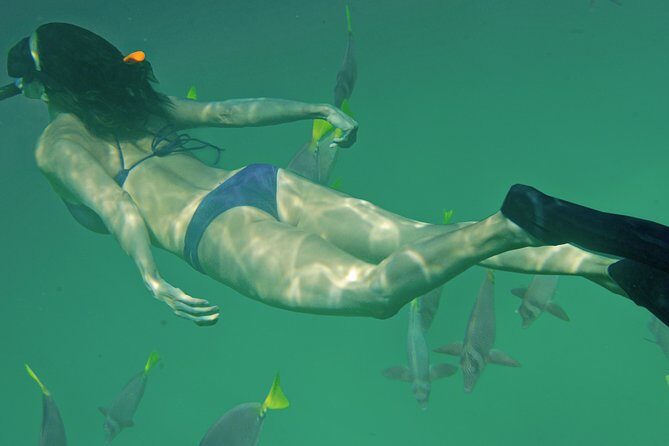 Private Snorkeling Tour in Cabo San Lucas - Final Words