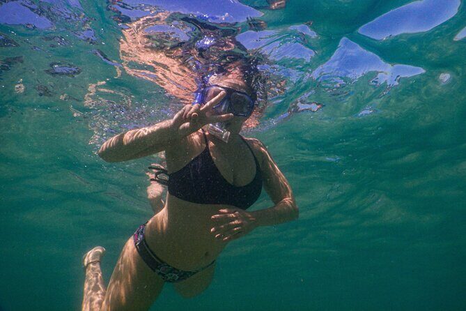 Private Snorkeling Tour In Sydney's Marine Reserve - Why This Tour Offers Great Value