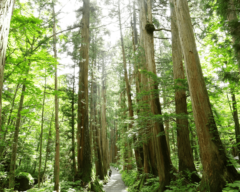 [Private] [Snow Monkey + Togakushi Shrine] From Nagano/Myoko - Key Points