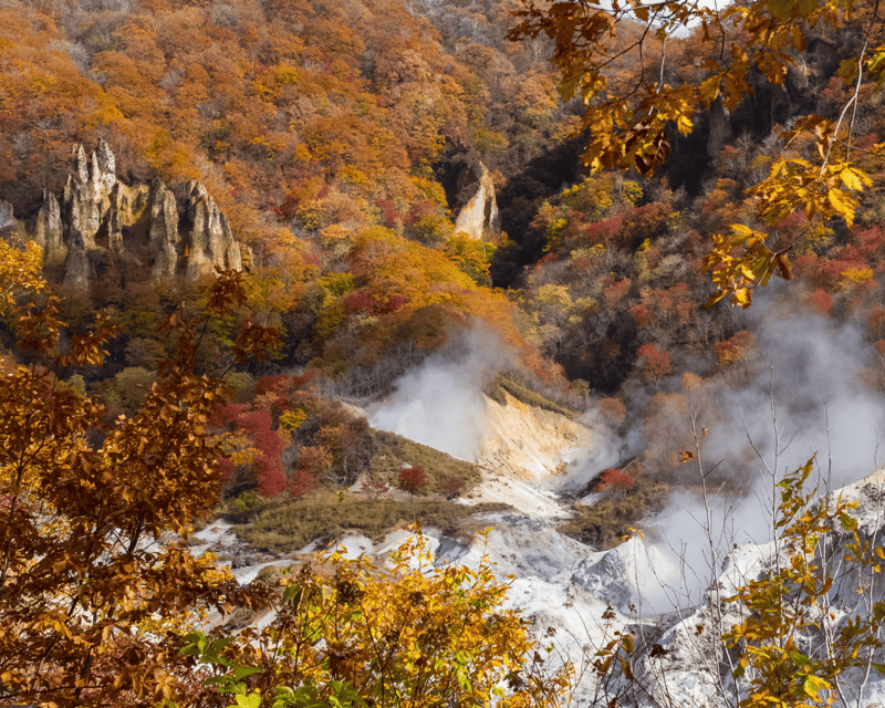 [Private] [Snow Monkey + Togakushi Shrine] From Nagano/Myoko - Walking Requirement and Accessibility