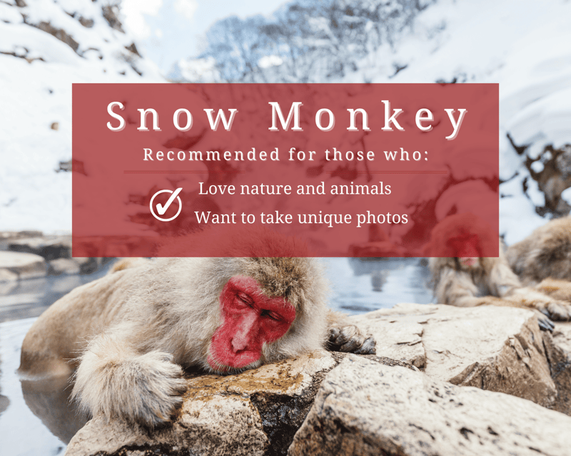 [Private] [Snow Monkey + Togakushi Shrine] From Nagano/Myoko - What to Expect on the Tour
