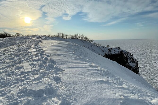 Private Snow Shoe Tour in Shiretoko National Park - Reviews and Ratings