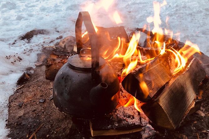 Private Snowmobile Experience in Rovaniemis Forest - Customer Reviews and Feedback