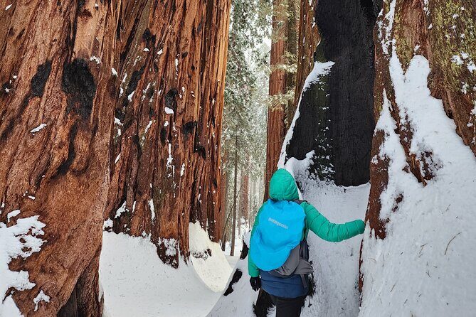 Private Snowshoe Adventure - Sequoia National Park - Equipment & Comfort